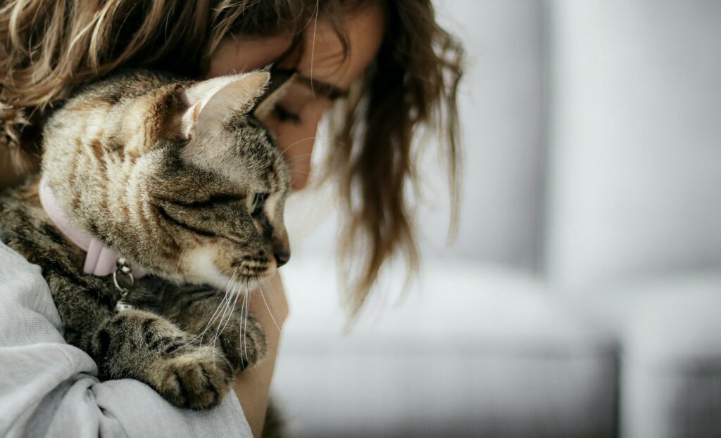 HOME | Animal Compassion